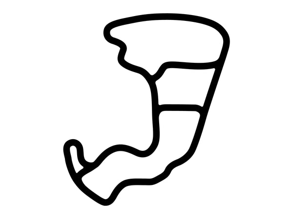 TrackArmour – Michigan International Speedway Full Road Course Decal